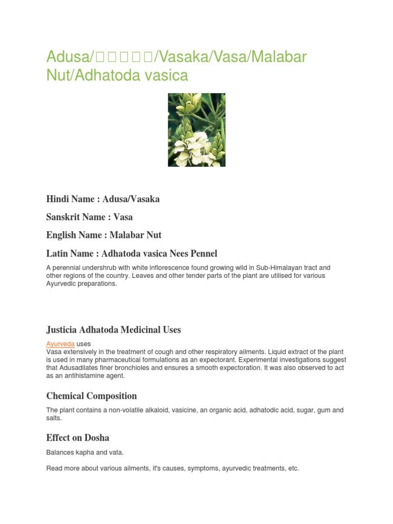 Adusa/ अअअअअ/Vasaka/Vasa/Malabar Nut/Adhatoda vasica | PDF | Coriander ...