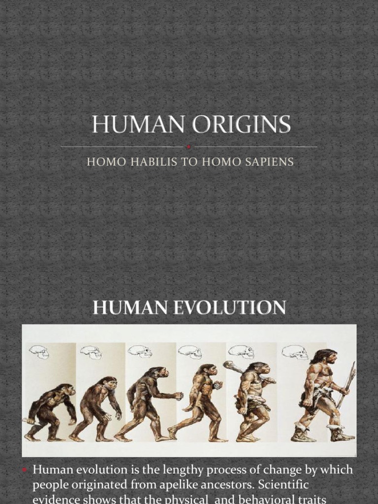Human Evolution: From Homo Habilis to Sapiens | PDF | Homo | Human ...