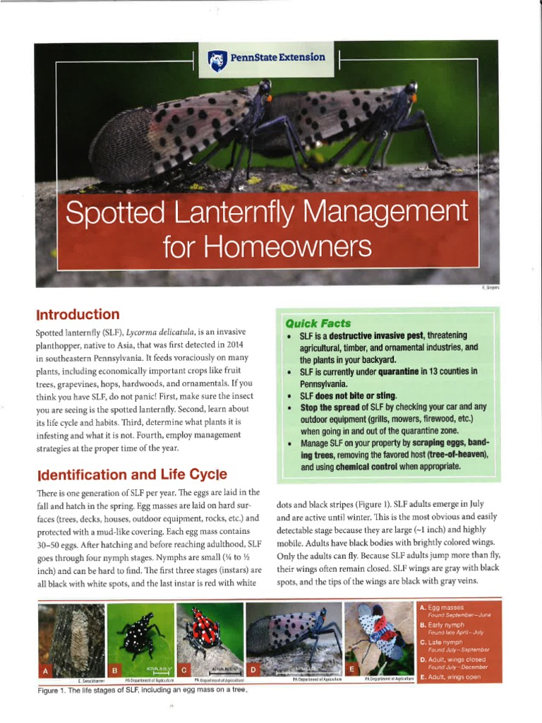 SPLF Management For Homeowners | PDF | Insecticide | Trees