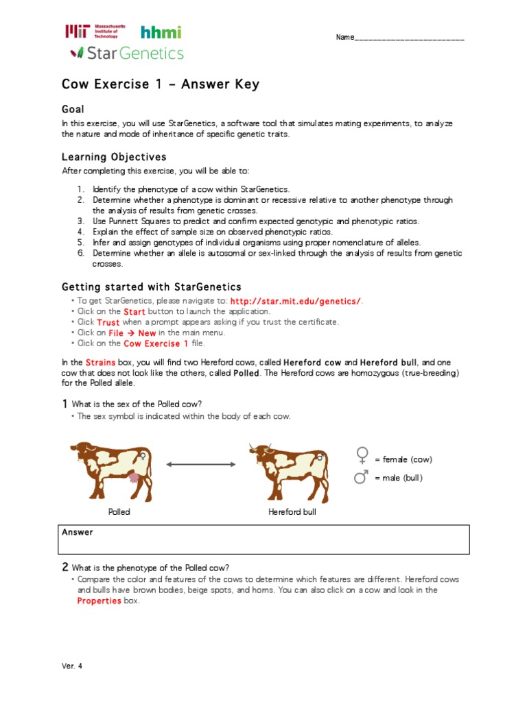 Cow Exercise 1 - Answer Key: Name | PDF | Dominance (Genetics) | Zygosity