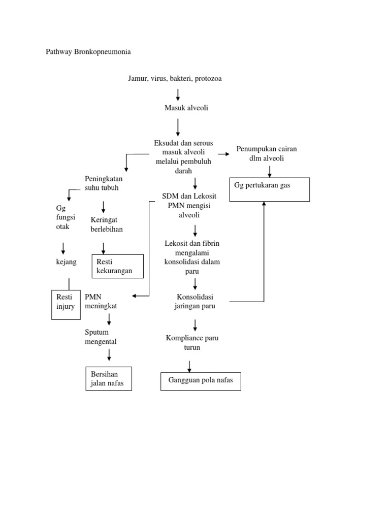Pathway Bronkopneumonia 2
