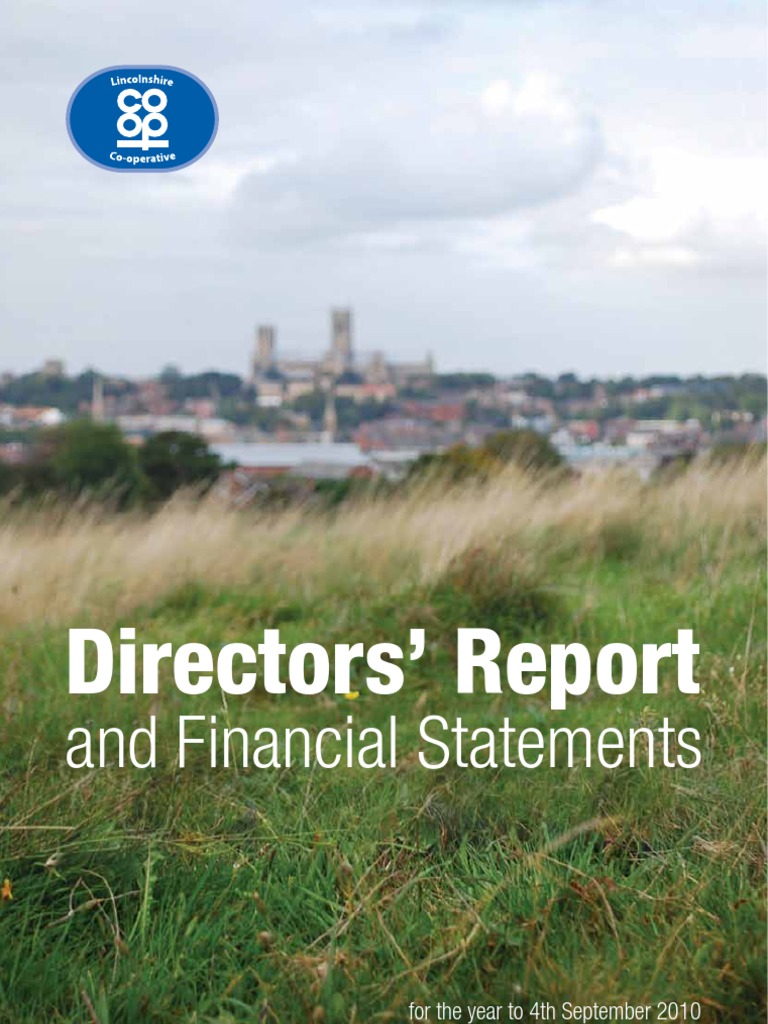 Annual Report Accounts 2010 (Inc History) | PDF | Internal Audit ...