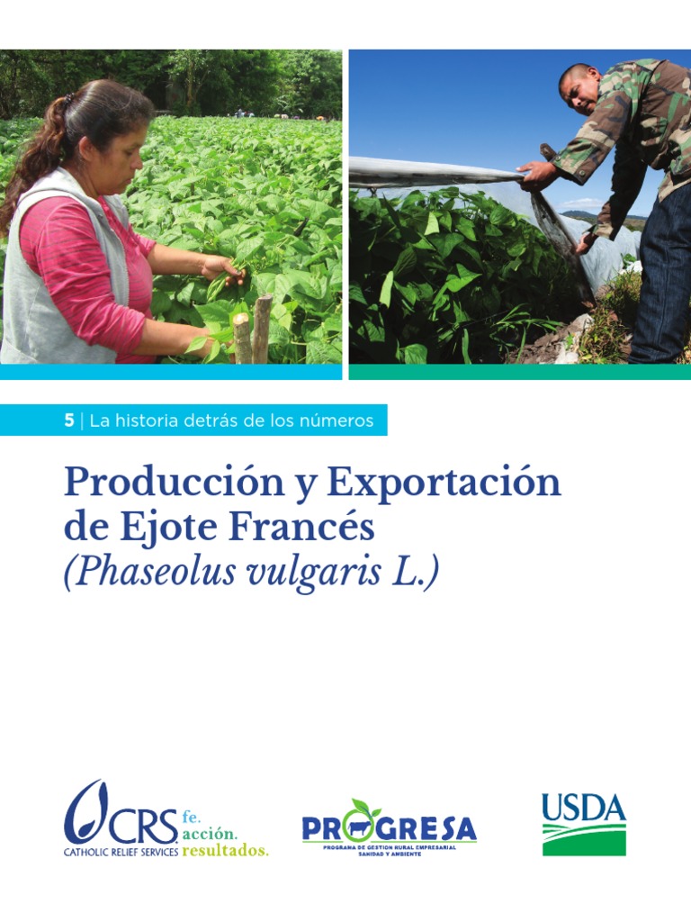 05 Ejote Frances | PDF | Nicaragua | Agricultura