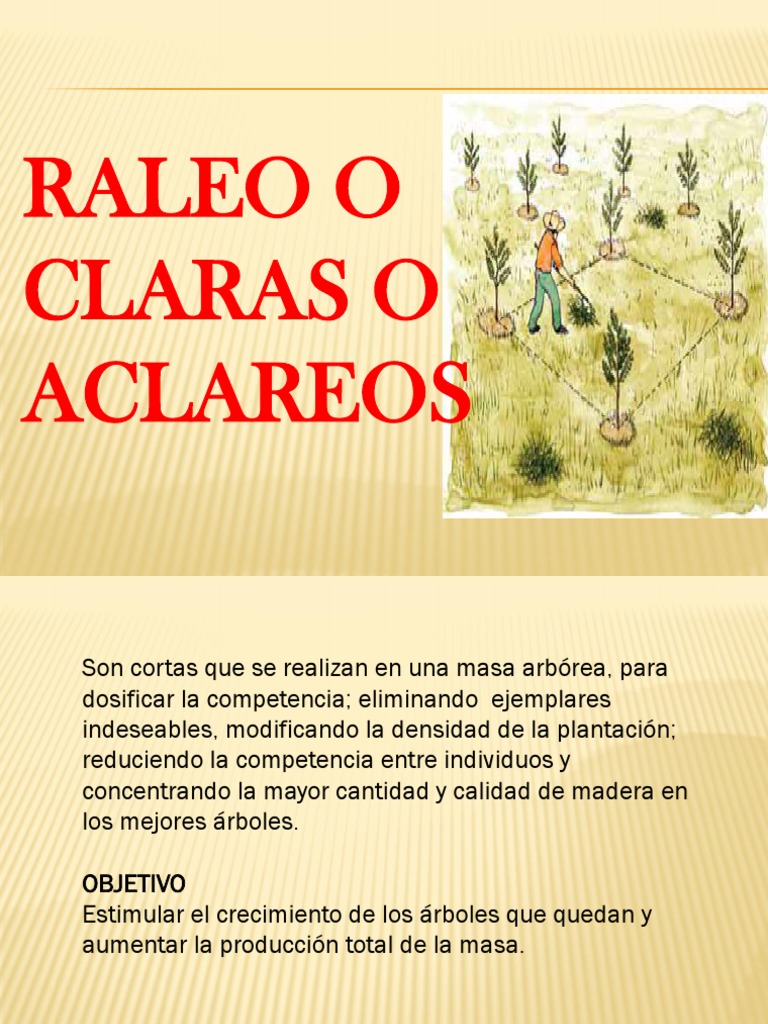 Raleo o Claras o Aclareos | PDF | Arboles | Madera