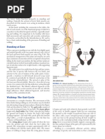 Walking and Gaits - Stages - TeachMeAnatomy | PDF | Human Leg | Walking