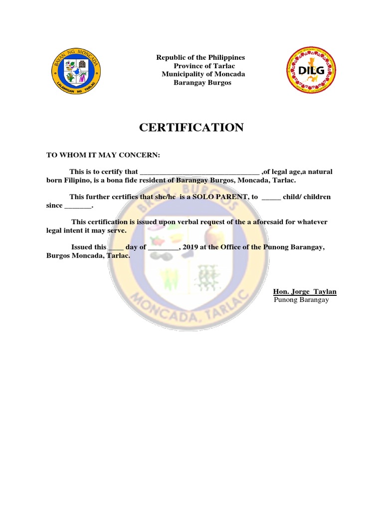 Solo Parent | PDF