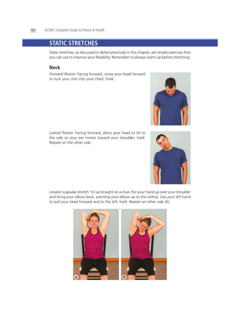 Static Stretches: Forward Flexion: Facing Forward, Move Your Head ...
