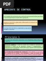 Modelo de Control Interno Coco | PDF | Toma de decisiones | Evaluación