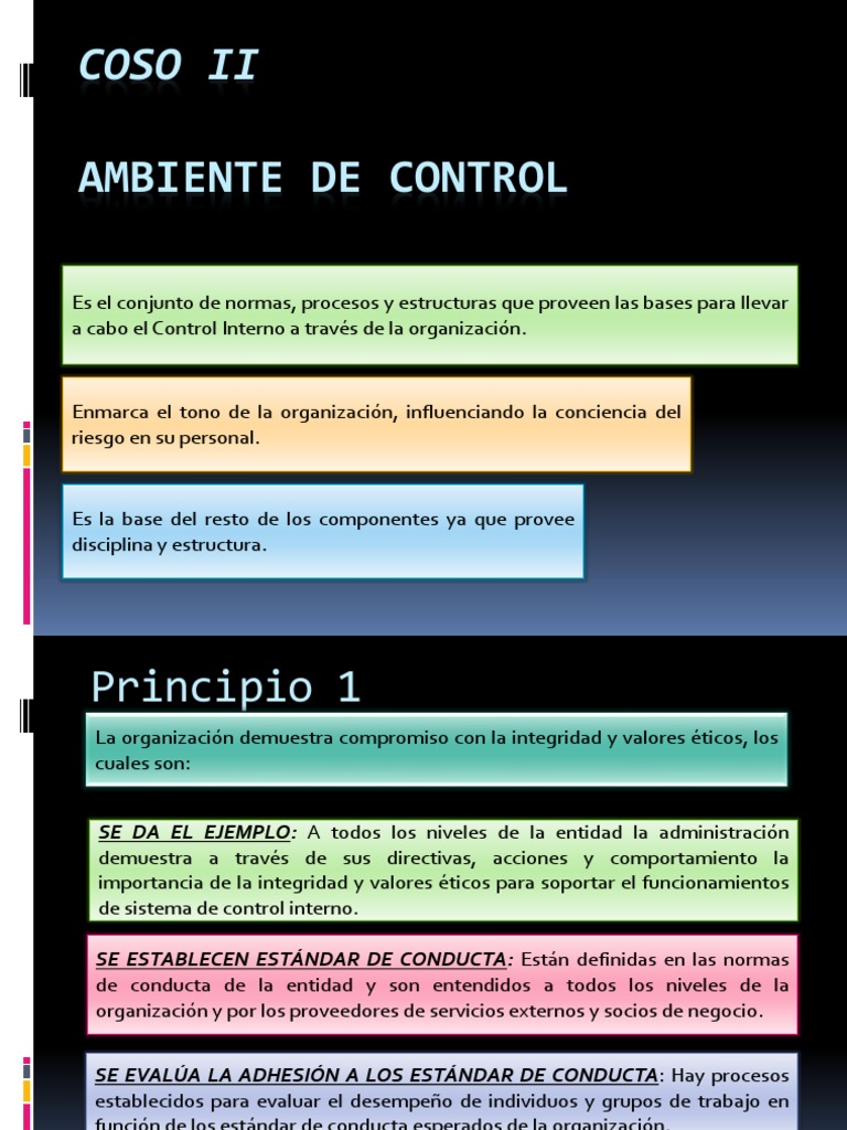 Ambiente de Control | PDF | Comportamiento | Business