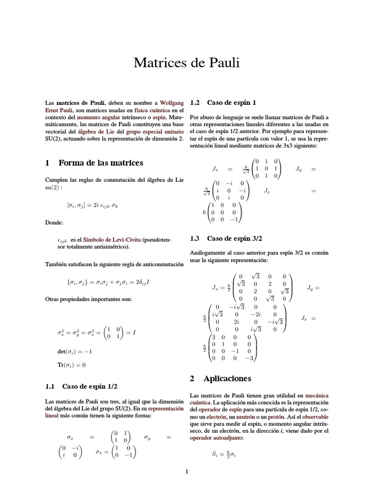 Matrices de Pauli | PDF | Spin (Física) | Teoría de grupo