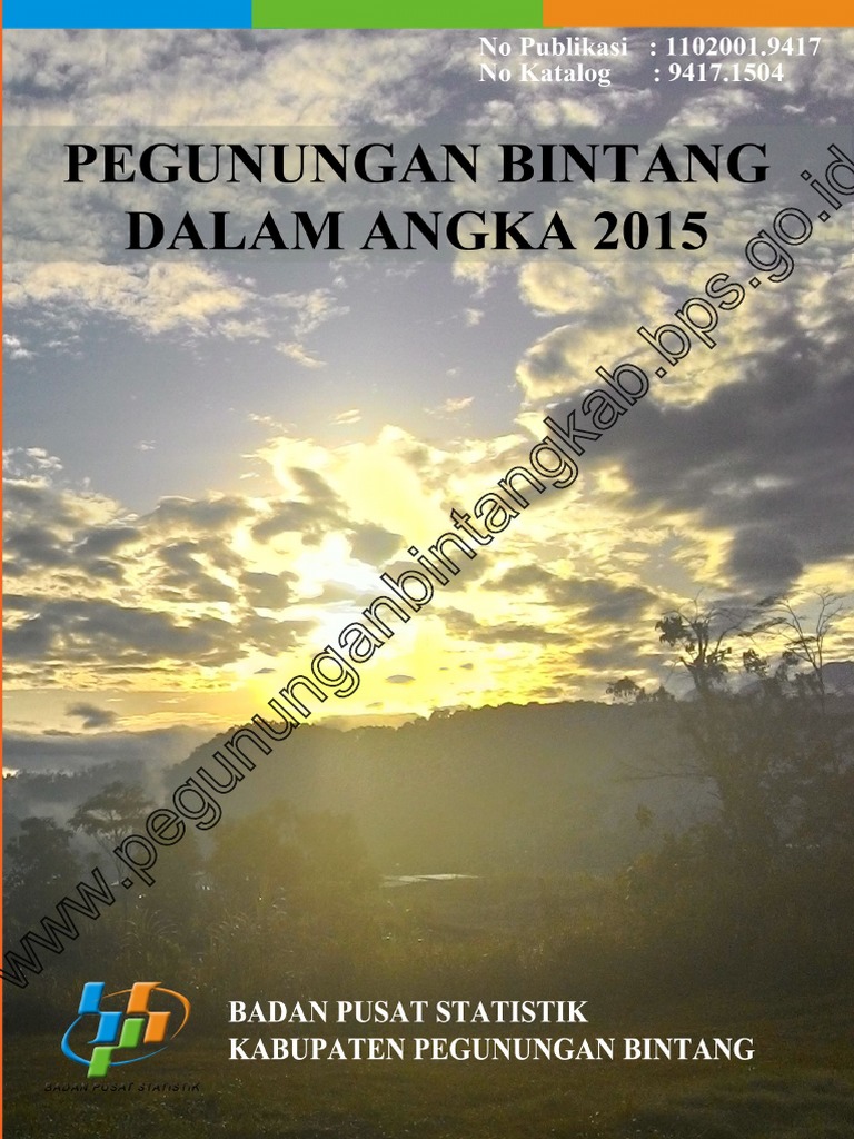 Pegunungan Bintang Dalam Angka | PDF