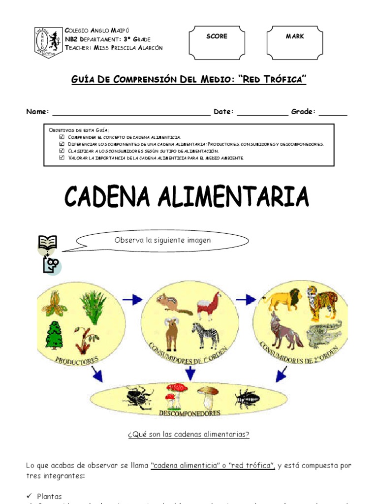 Guía Cadena Alimentaria | PDF | Red alimentaria | Organismos