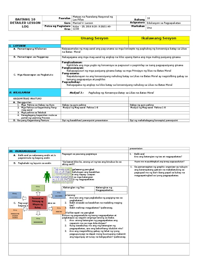 Daily Lesson Log Sample | PDF