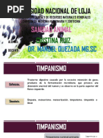 Timpanismo en Bovinos | PDF | Rumiante | Medicina CLINICA