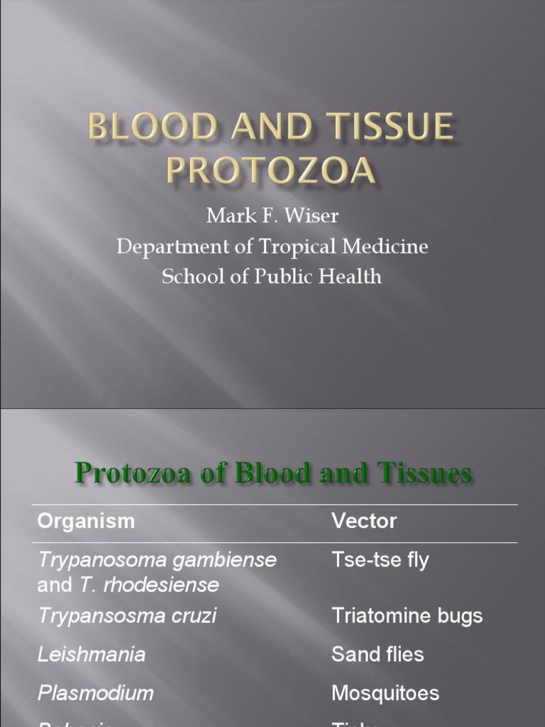 Blood N Tissue Protozoa | PDF | Malaria | Vector (Epidemiology)