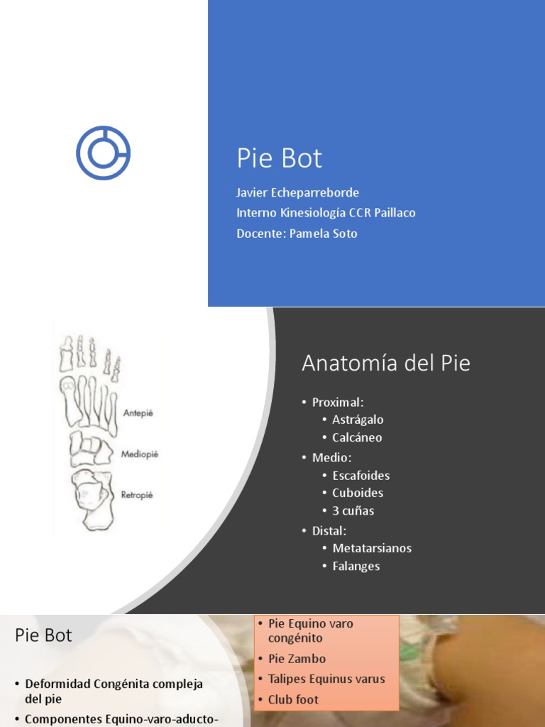Pie Bot | PDF | Pie | Sistema musculoesquelético