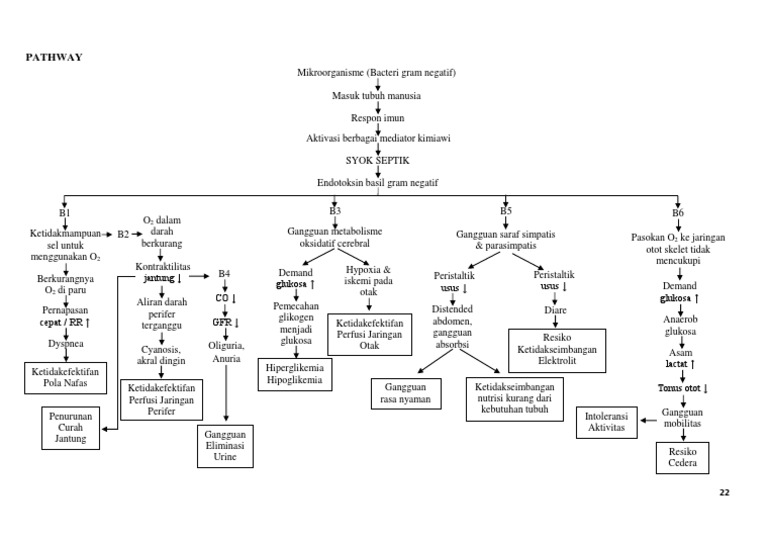 Pathway Syok Sepsis | PDF