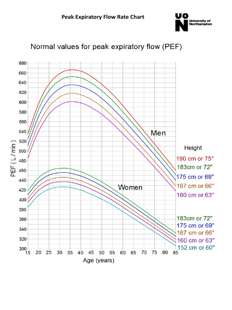 Peak Expiratory Flow Rate Chart | PDF