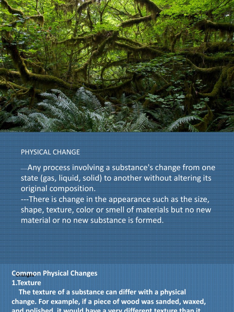 Exploring Physical Changes: A Guide to Changes in State, Texture, Color ...
