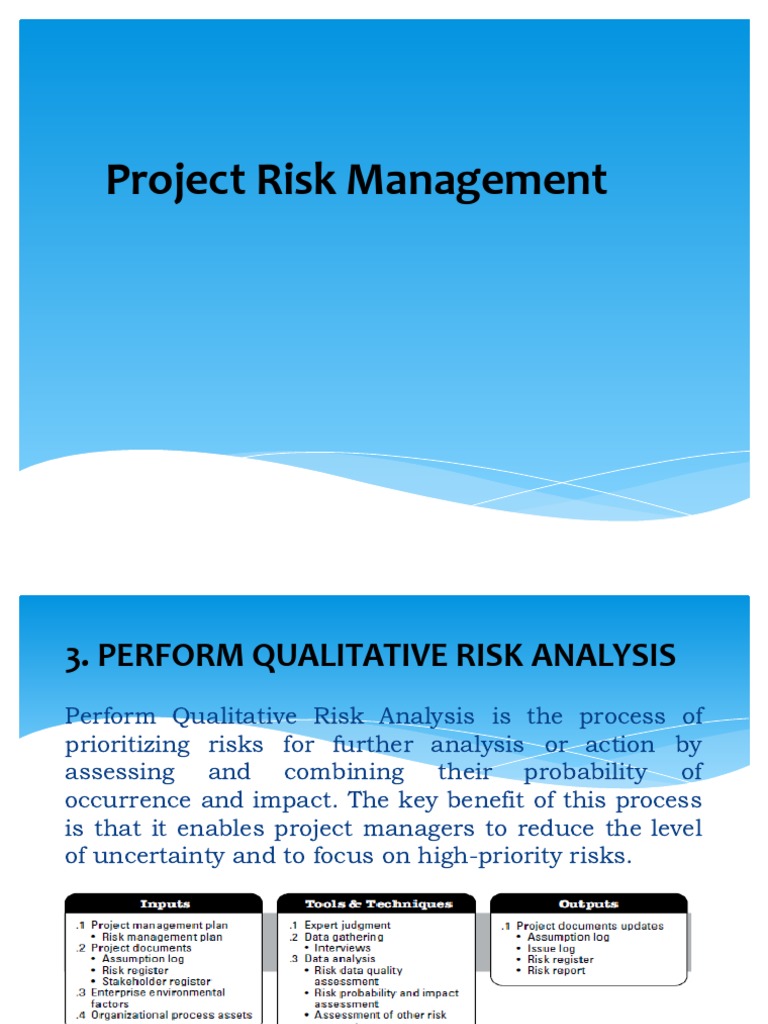 Project Risk Management: Perform Qualitative Analysis | PDF | Risk ...