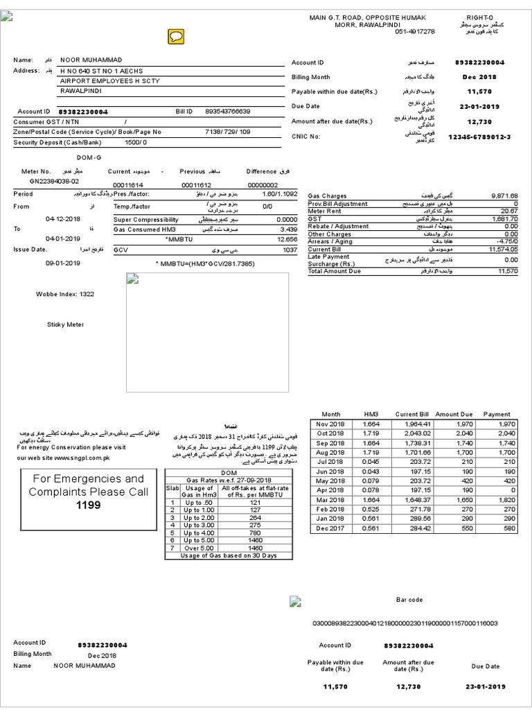 SNGPL - Web Bill Jan 2019 | PDF | Economies | Business