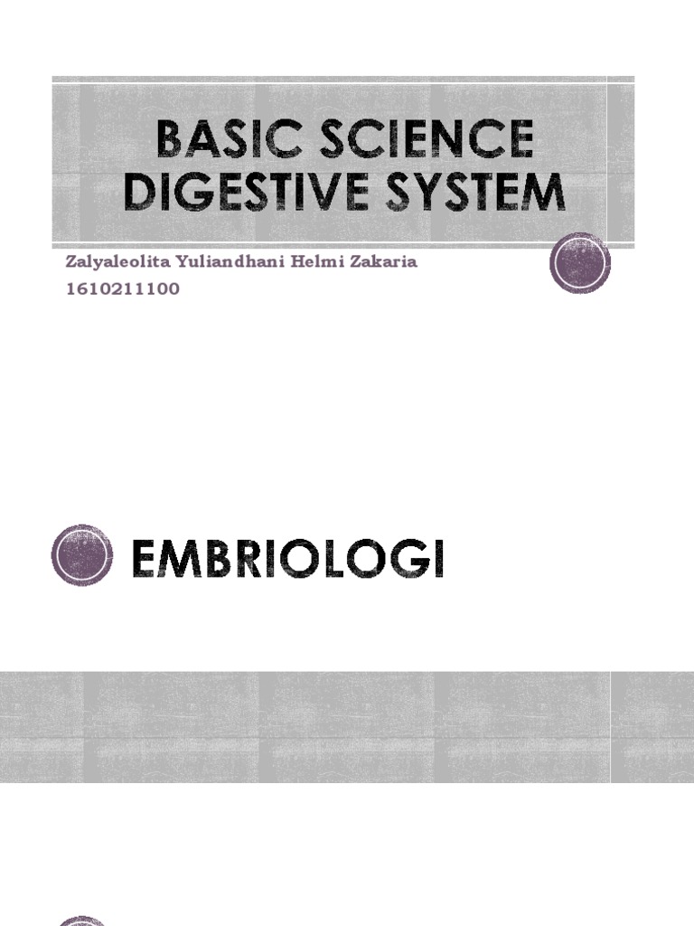 Basic Science Digestive System | PDF