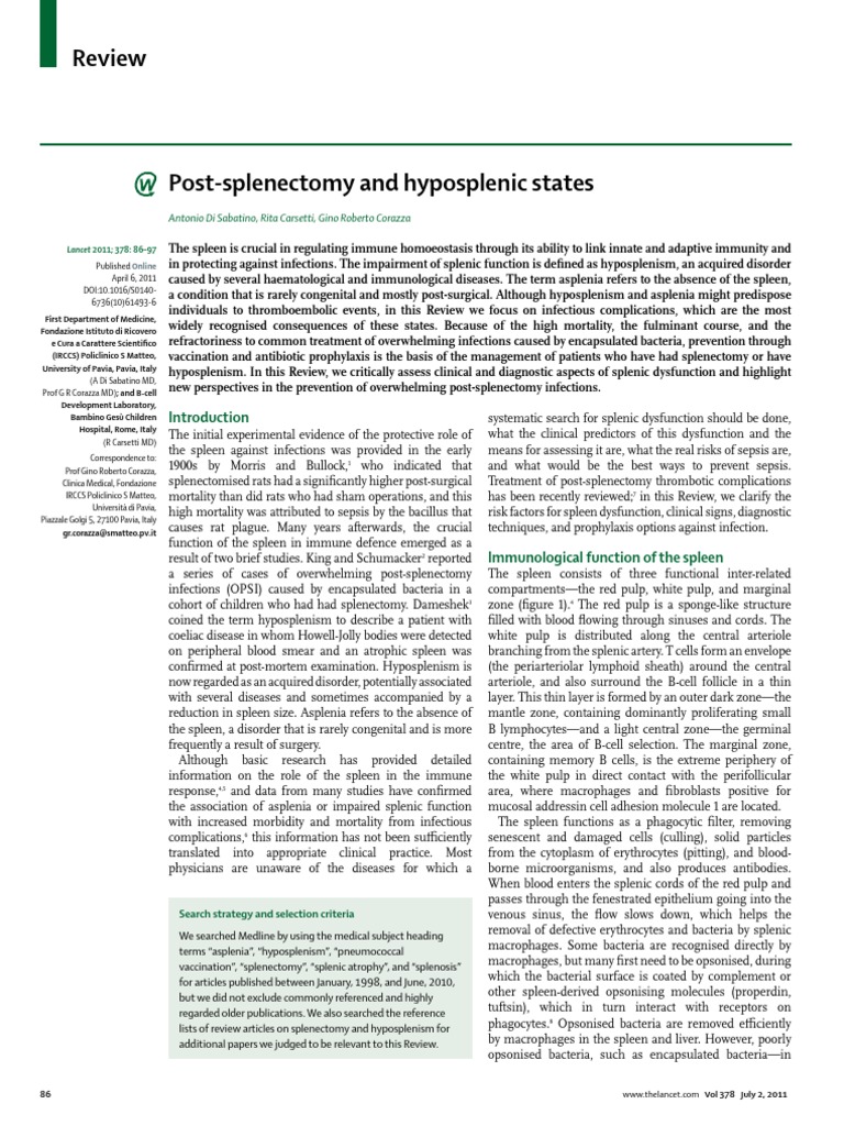 Hyposplenic Review 2011 | PDF | Spleen | B Cell