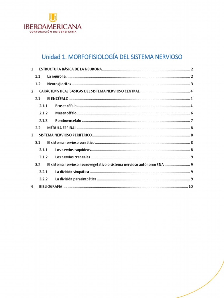 Morfofisiología Del Sistema Nervioso | PDF | Cerebro | Corteza cerebral