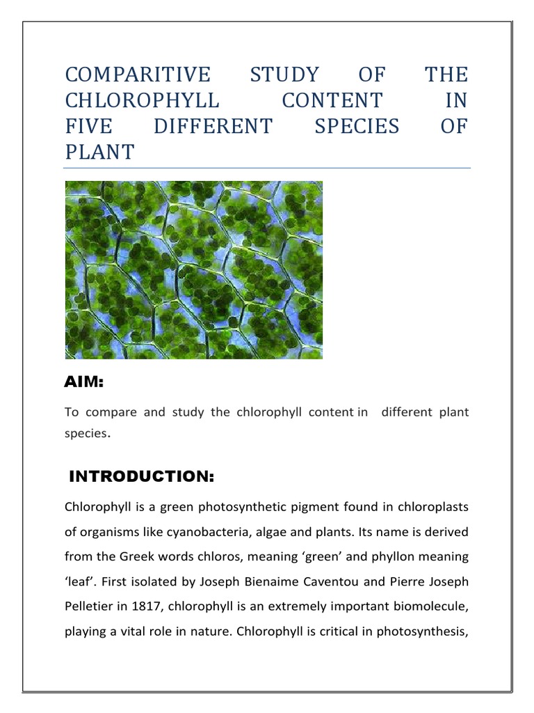 Chlorophyll Content in Five Plant Species | PDF | Chlorophyll ...