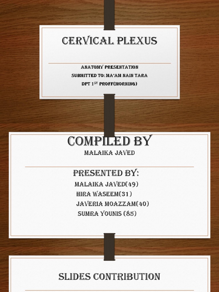 Cervical Plexus: Anatomy Presentation Submitted To: Ma'Am Nain Tara DPT ...