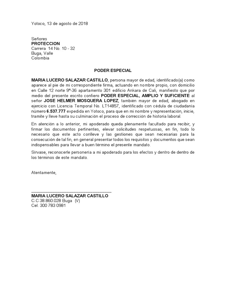 Poder Especial Porvenir | PDF