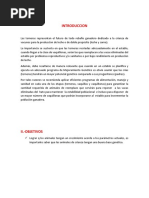 Visita Al Rastro | PDF | Carne | Matadero
