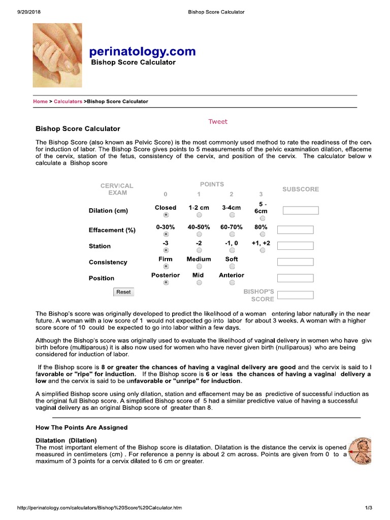 Bishop Score Calculator | PDF