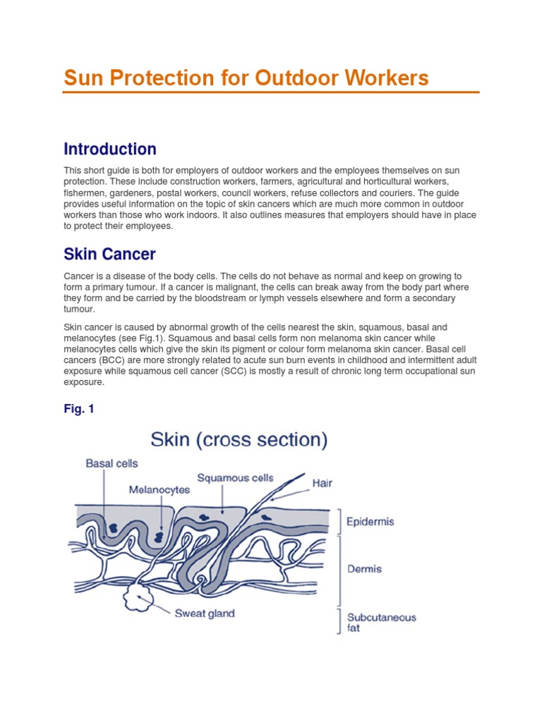 Sun Protection Guide for Outdoor Workers | PDF | Skin Cancer | Sunscreen