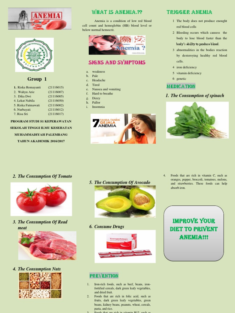 Leaflet | PDF | Anemia | Foods