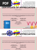 Certificate For SSG Officers | PDF