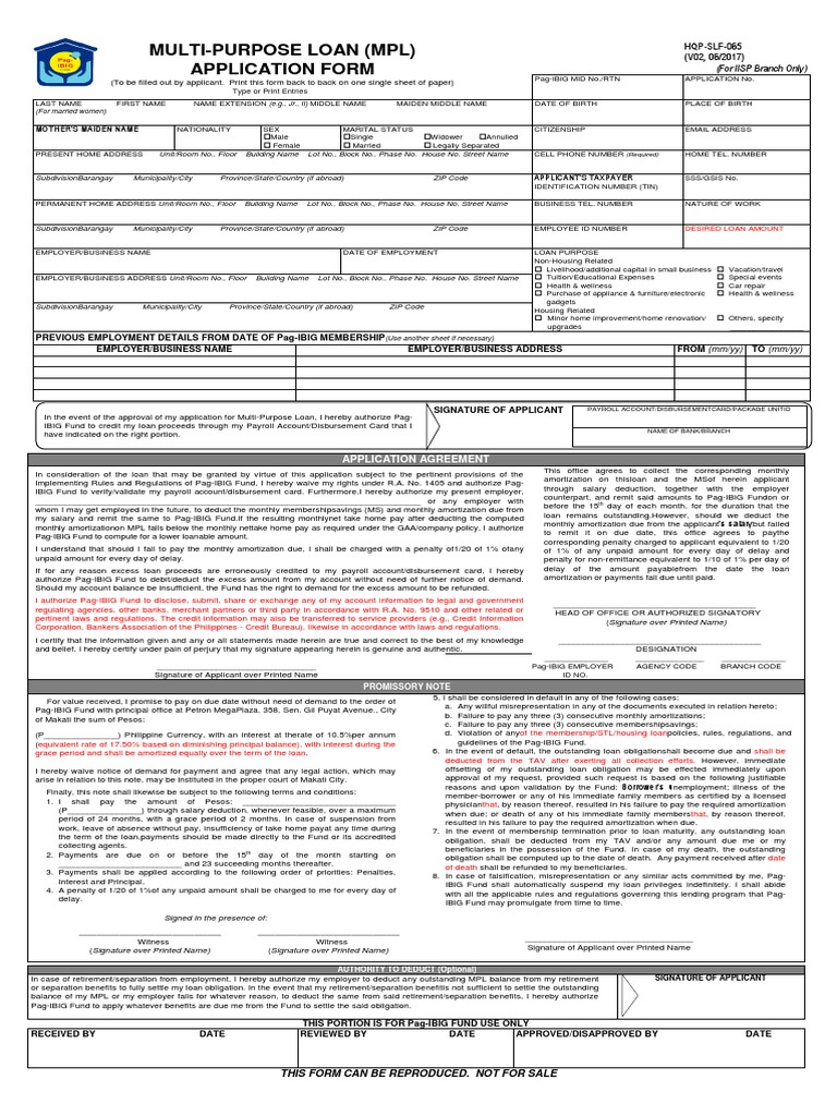 Understanding the Multi-Purpose Loan Application Form | PDF | Loans ...