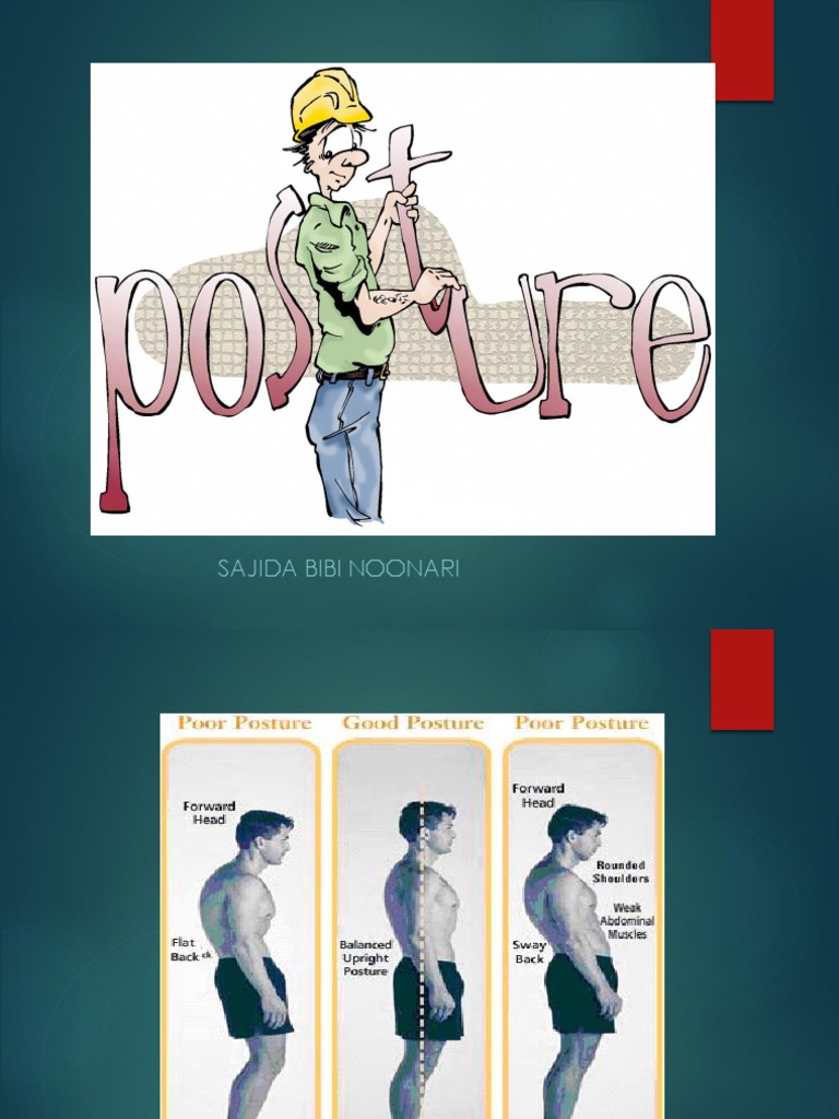 Sajida Bibi Noonari | PDF | Vertebral Column | Musculoskeletal System