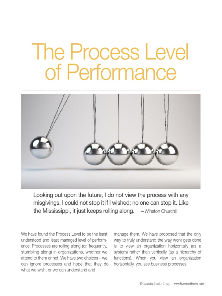Process Level of Performance | PDF | Business Process | Sales