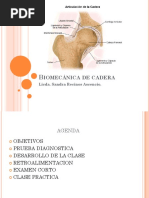 Articulación Coxofemoral Cuadro Integrador | PDF | Rodilla | Cadera