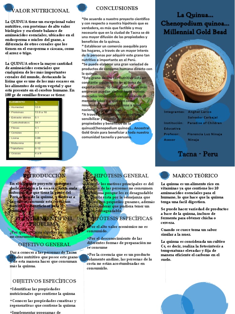 Triptico Quinua | PDF | Quinua | Cereales