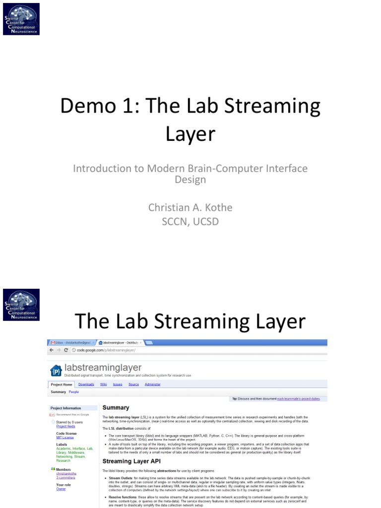 Demo 1 The Lab Streaming Layer Pdf Application Programming Interface Cross Platform Software