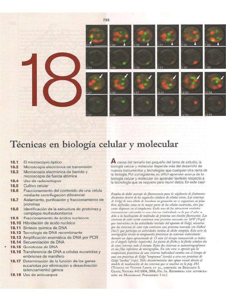 Cap 18 Karp 7ma | PDF