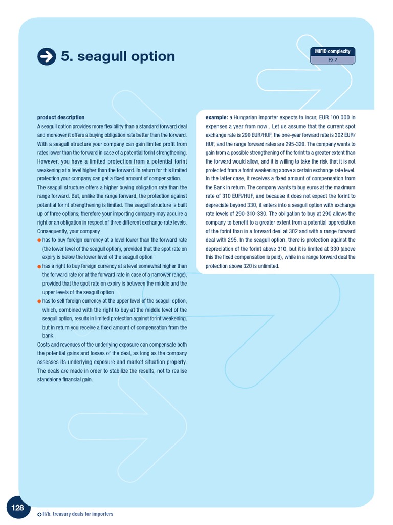 Seagull Option | PDF | Option (Finance) | Exchange Rate