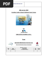Nautilus Box Boom Crane Reference List | PDF | Offshore Drilling ...