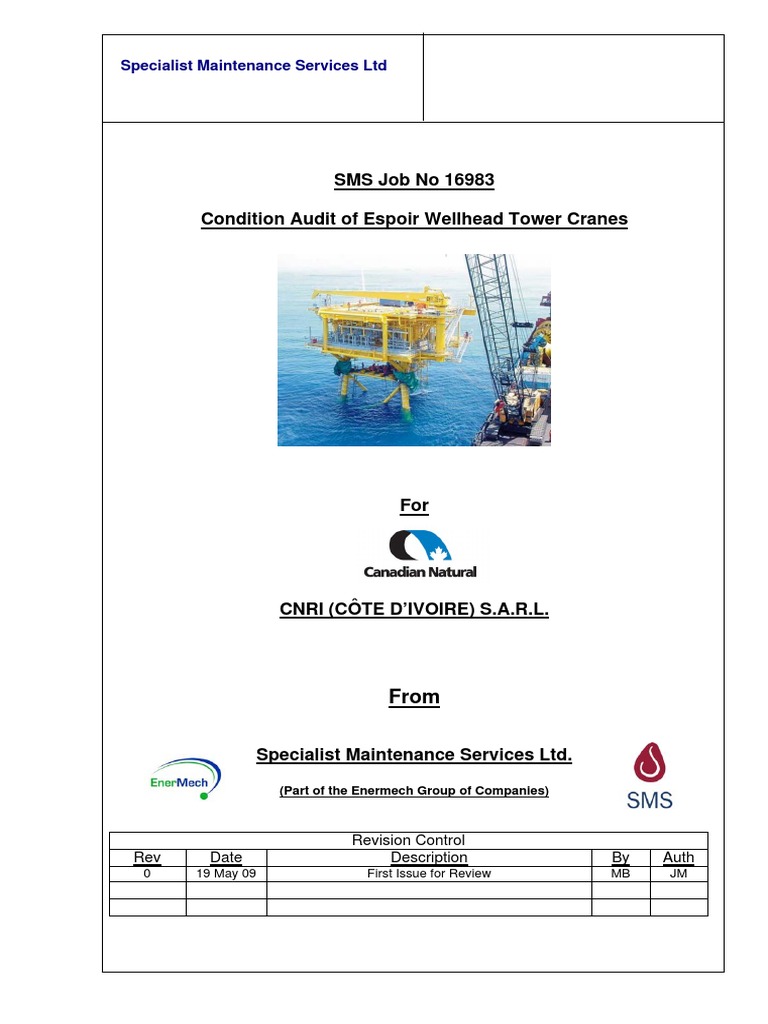 CCE Espoir WHP Crane Condition Audit Reports | PDF | Crane (Machine) | Pump