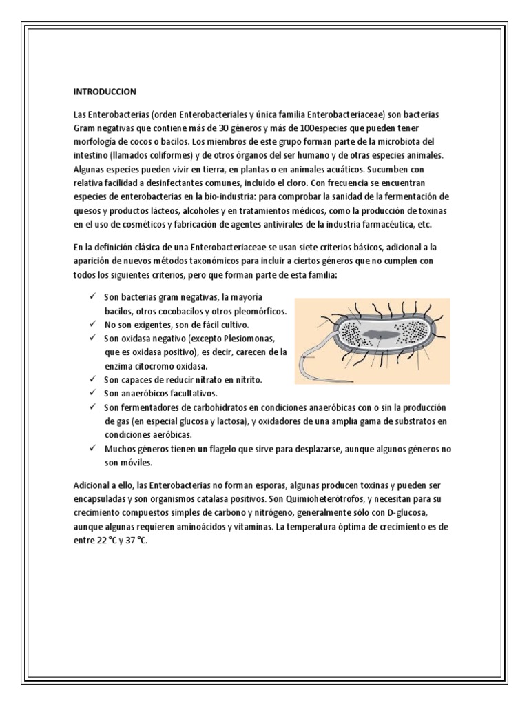 Definición y características de enterobacterias | PDF