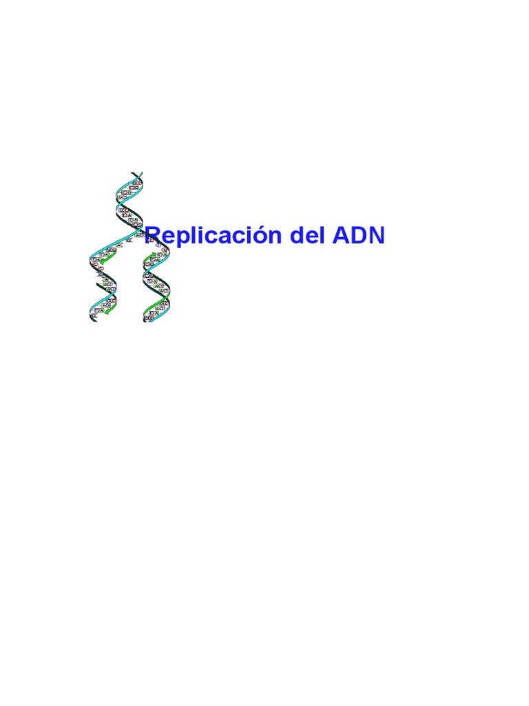 Replicacion Del ADN | Descargar gratis PDF | La transcriptasa inversa | Retrovirus