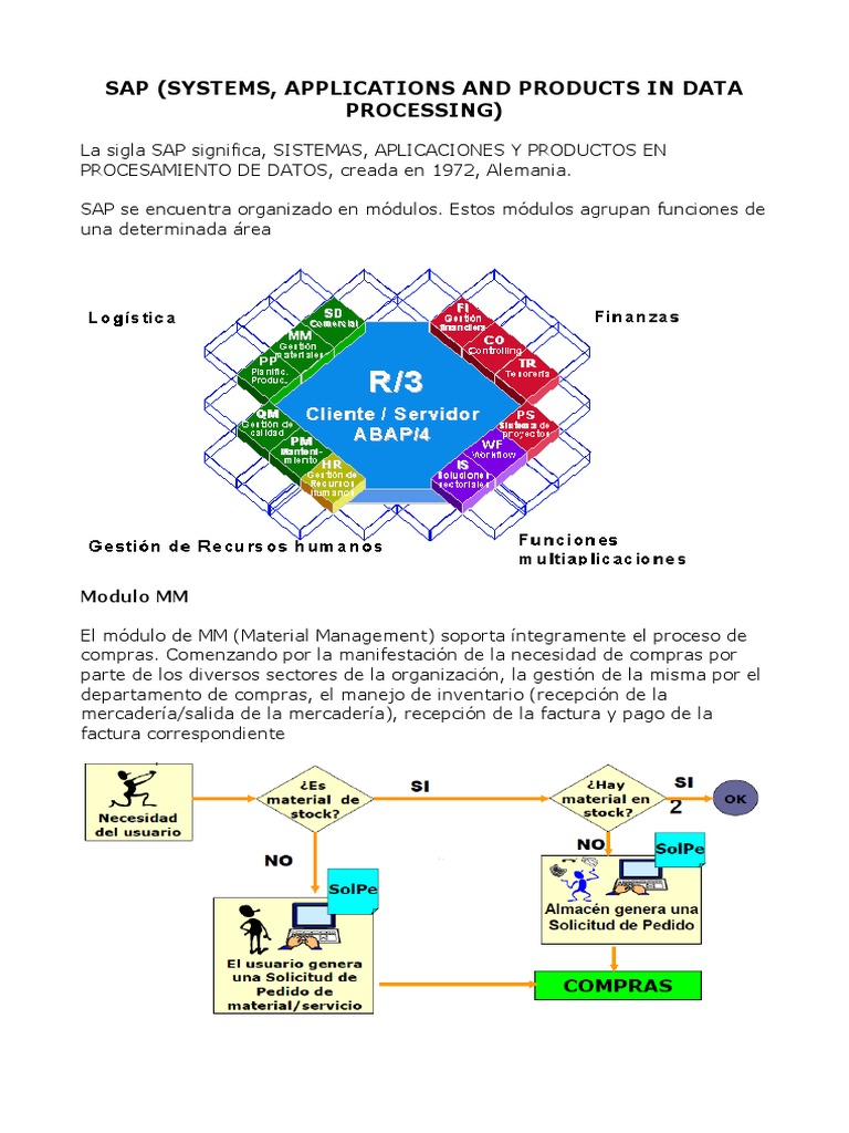 Manual Sap | PDF | Sap Se | Informática