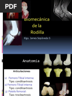Dismetría de MMII: Diagnóstico y Técnicas | PDF | Pelvis | Sistema ...